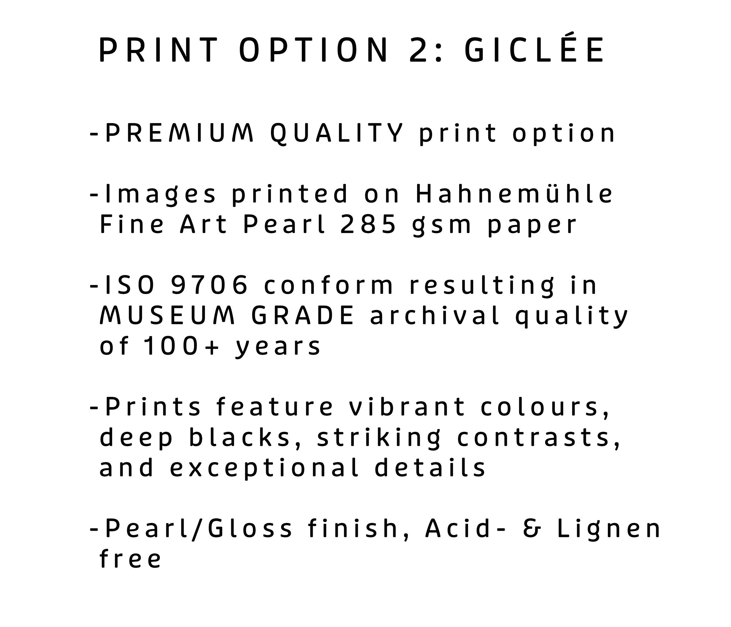 Scottish Autumn Tree Print, Large Forest Stretched Canvas, Framed ...