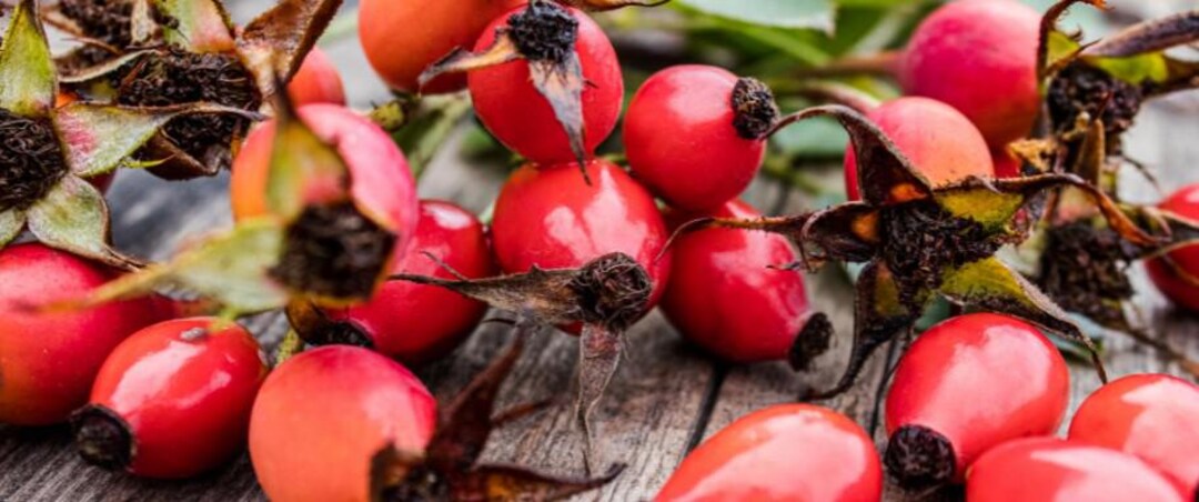 100g Hawthorn Fruit EKO Tea High Quality Herb Organic Farming - Etsy