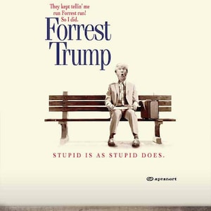 Forrest Trump T-shirt, Forest Gump, Funny Political Tee, Political ...