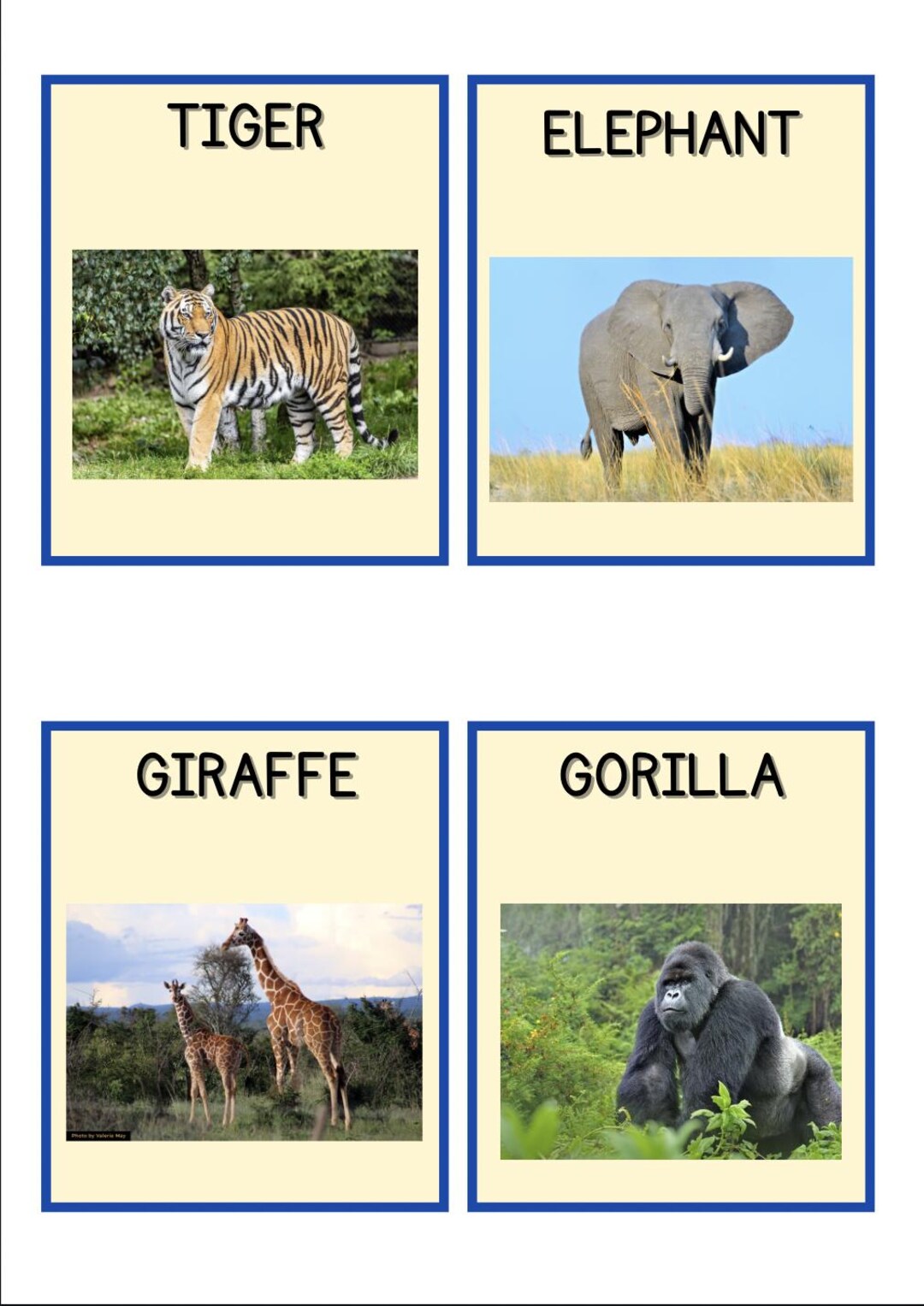 Montessori Animal Matching Cards for Toddlers - Etsy