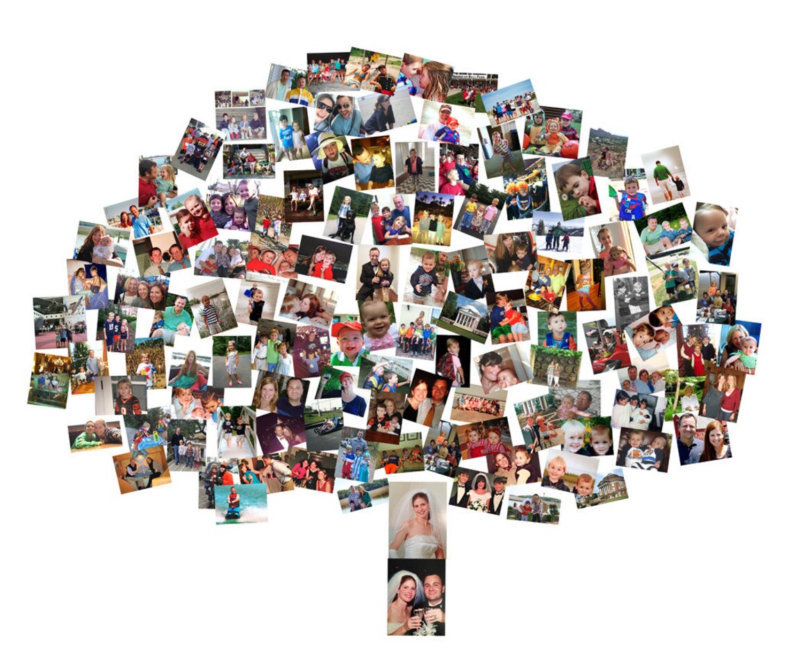 Family Tree Wall Family Tree Family Tree Template Family Tree - Etsy