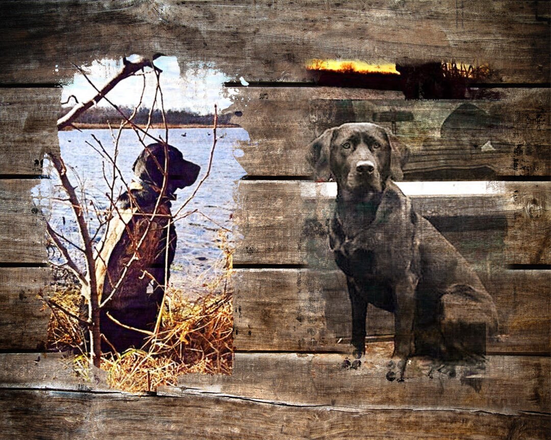 Hunter Gift Custom Real Wood Pet Portrait: Outdoorsman Gift (16x20) - Etsy