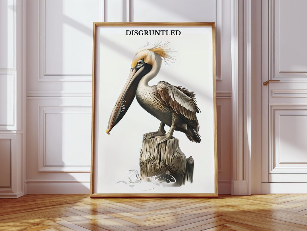 Disgruntled Pelican, Schitt's Creek Wall Art, Poster, Home Decor - Etsy