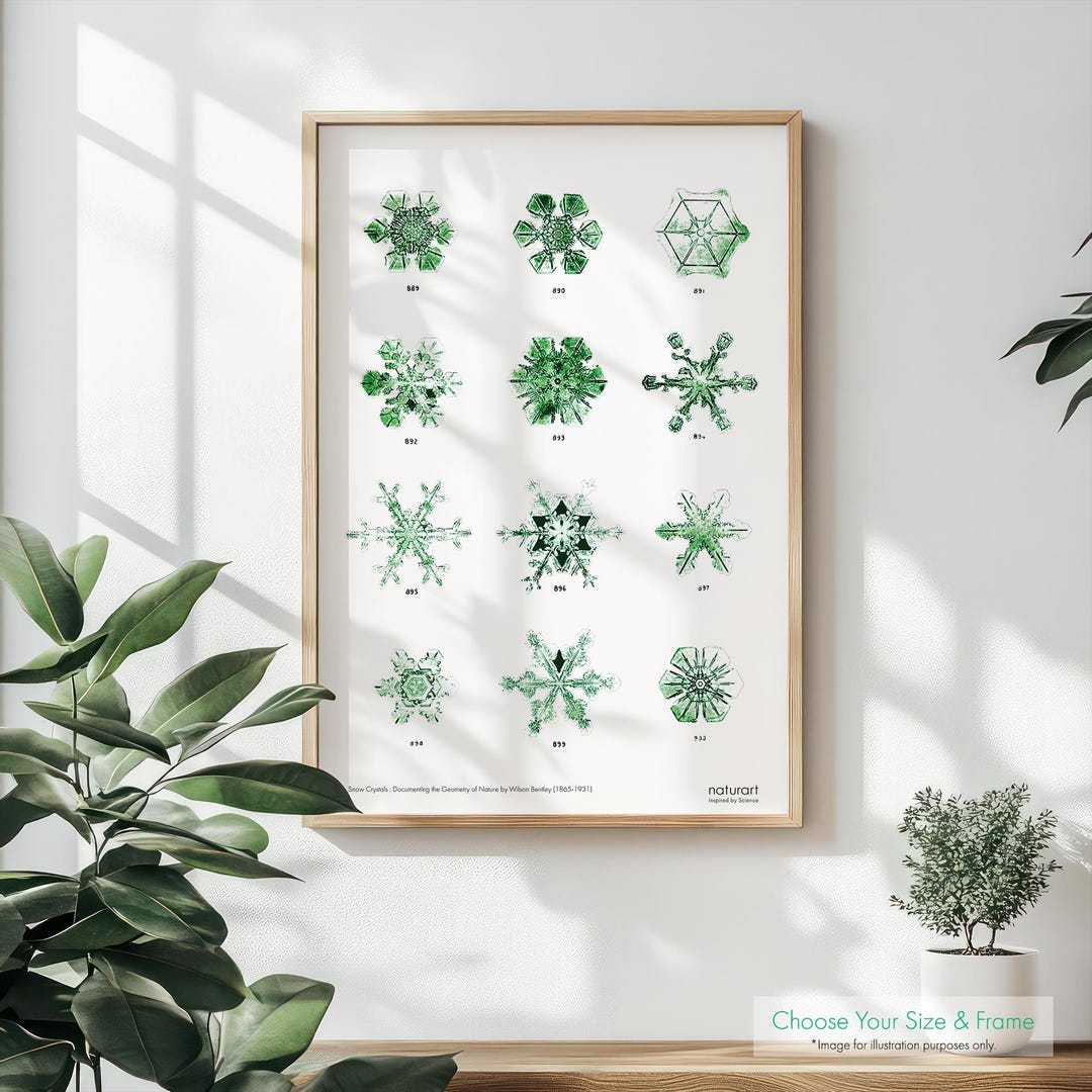 Wilson Bentley Snow Crystals Minimalist Poster Green - 5 Sizes, 3 ...