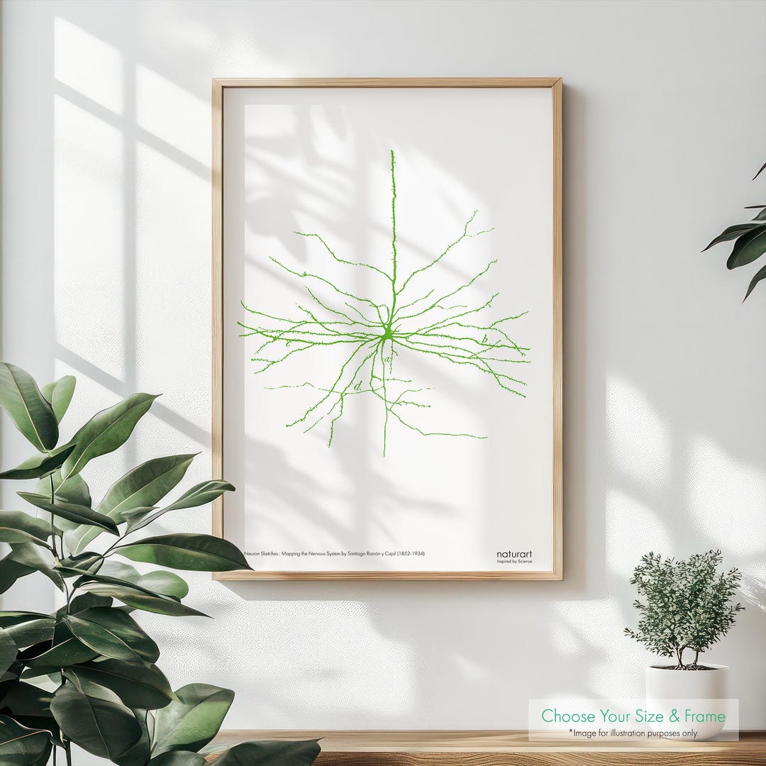 Santiago Ramón Y Cajal Neuron Sketch Minimalist Poster Green - 5 Sizes ...