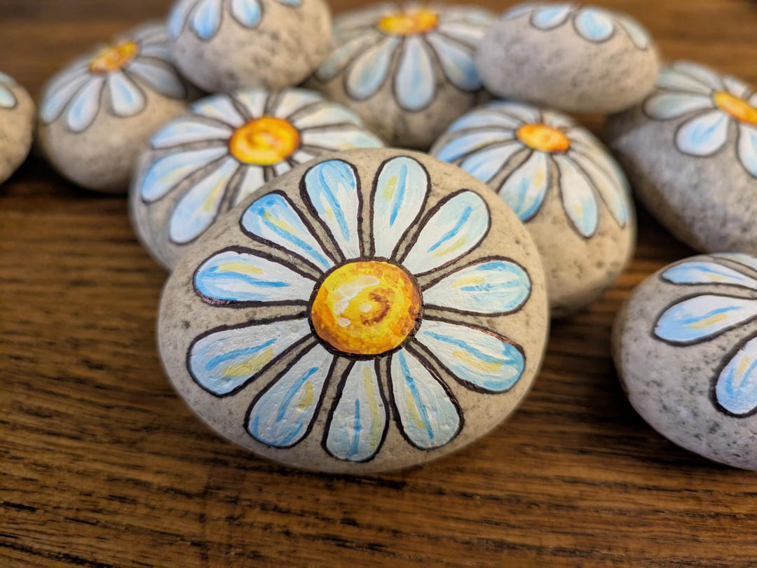 Daisies on River Rocks, Set of 10 Painted Daisy Rocks, Acrylic Paint ...