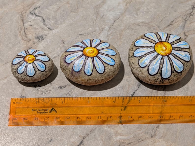 Daisies on River Rocks, Set of 10 Painted Daisy Rocks, Acrylic Paint ...