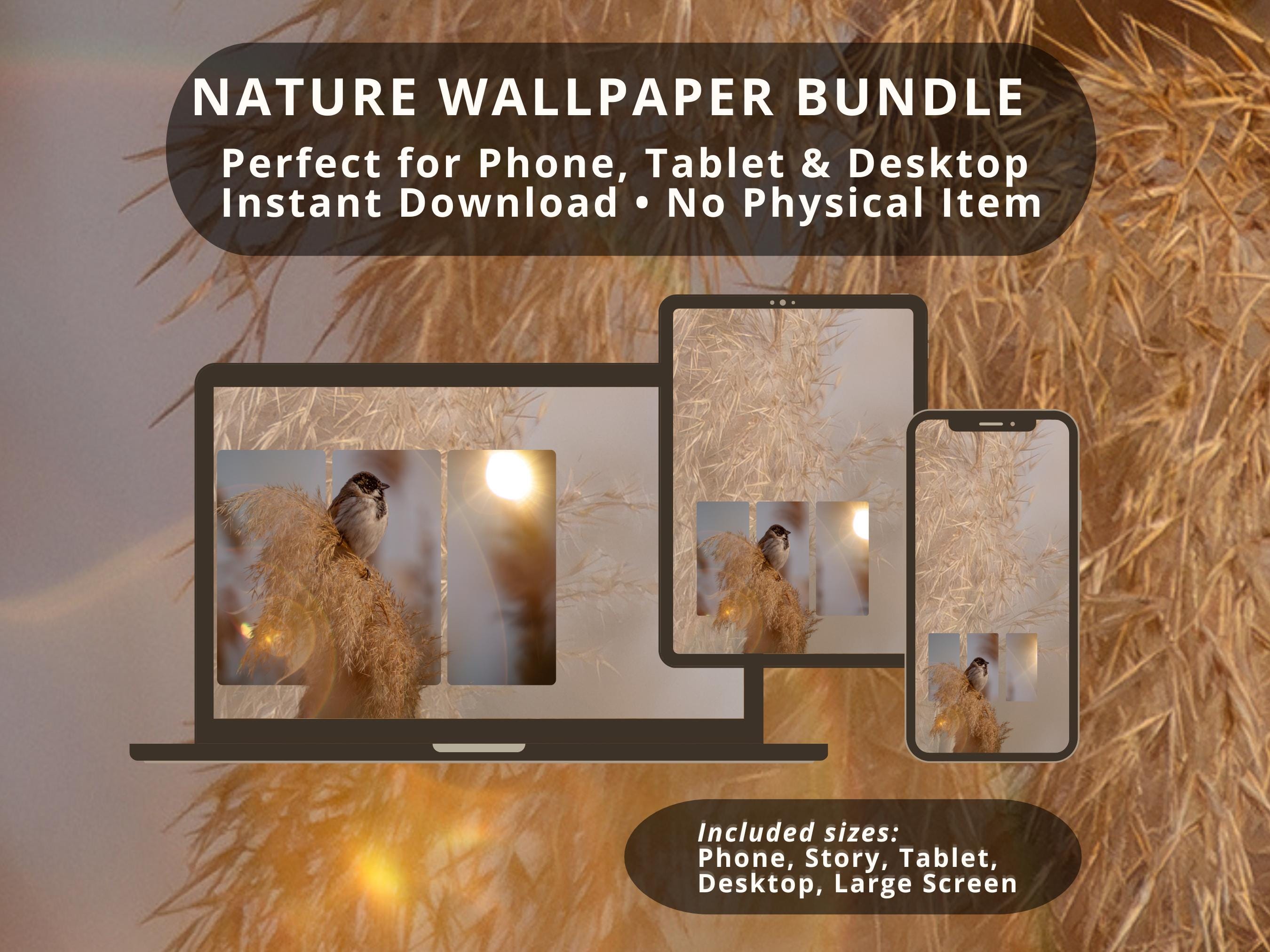Nature Wallpaper Bundle - Calming Digital Download for Phone, Tablet ...