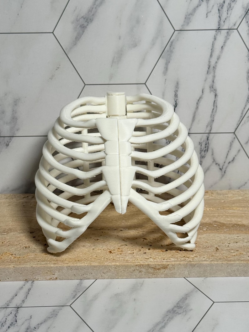 Rib Cage Hair Clip – Spooky Skeleton Loc Jewelry - Etsy