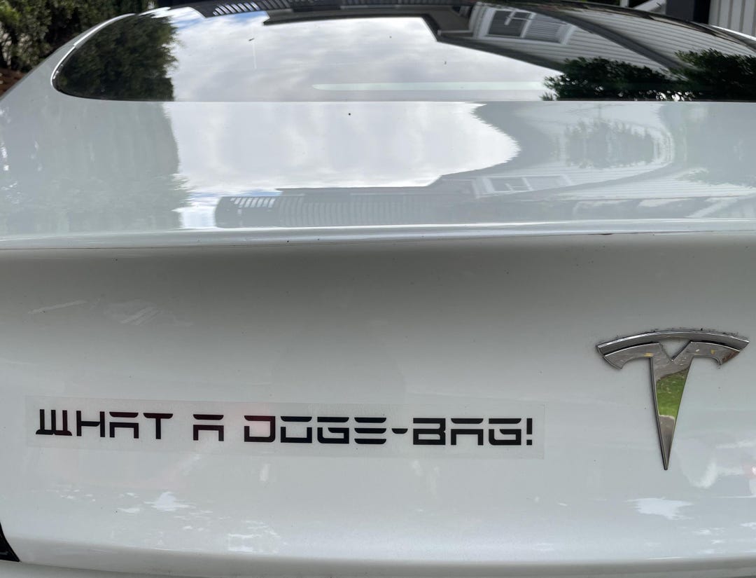 Tesla / Elon Musk Bumper Sticker - What a DOGE-BAG! - Etsy