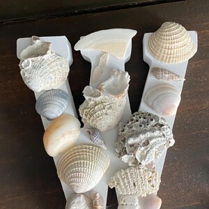 Seashell Letters - Etsy
