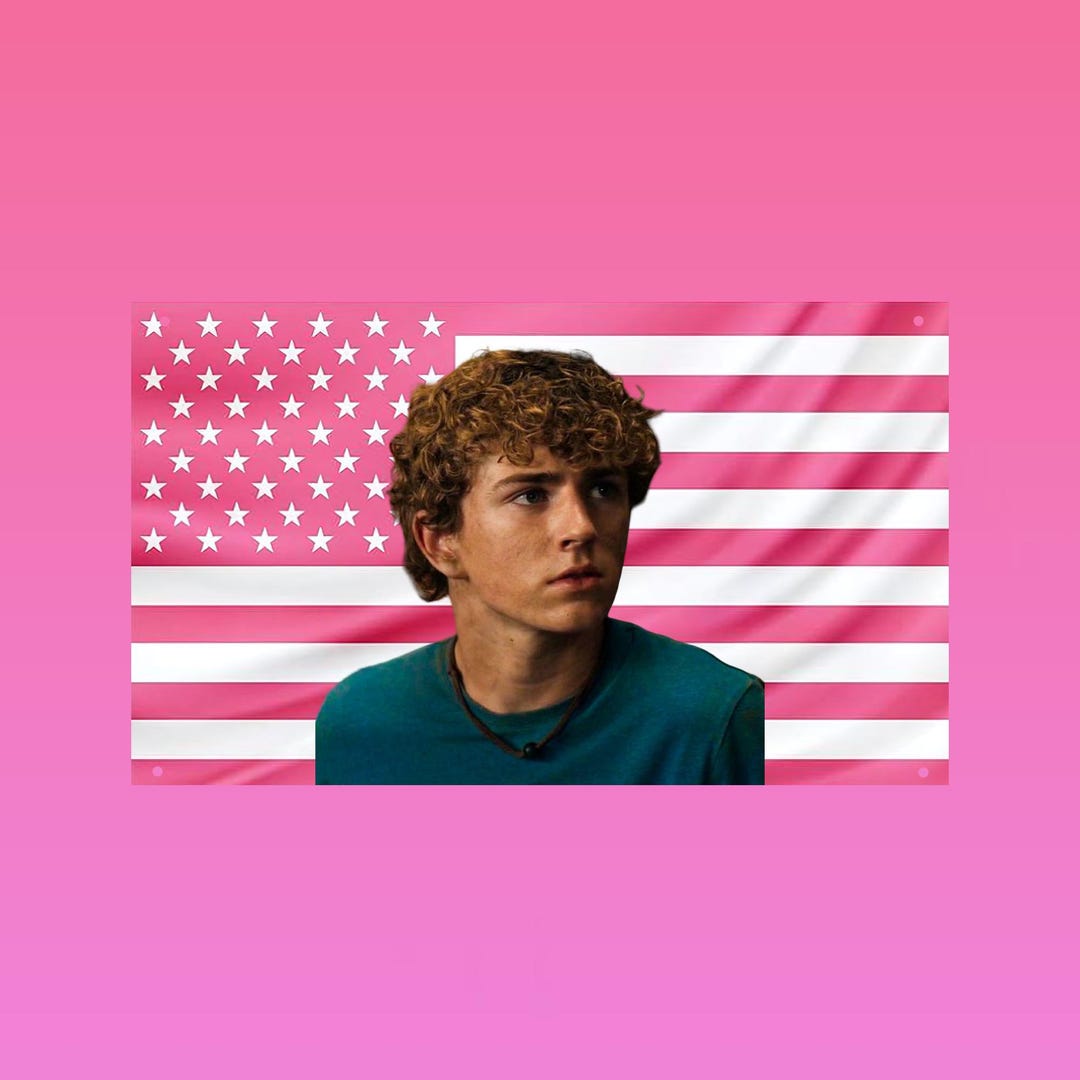 Walker Scobell Pink USA Flag | Percy Jackson PJO Tapestry | Cute Actor ...
