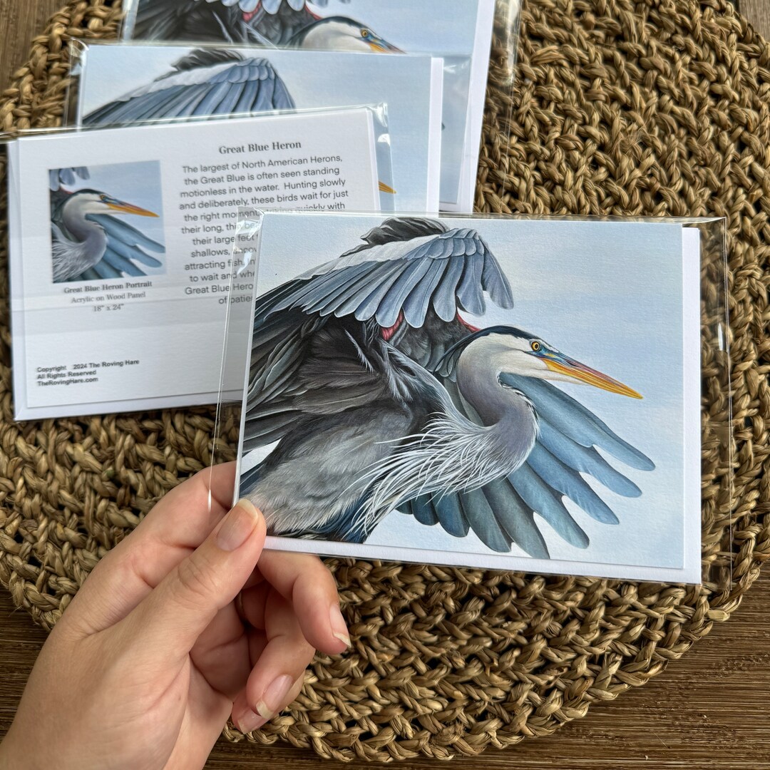 2 Great Blue Heron Greeting Cards Set, Blank Art Cards, Birdgreeting ...