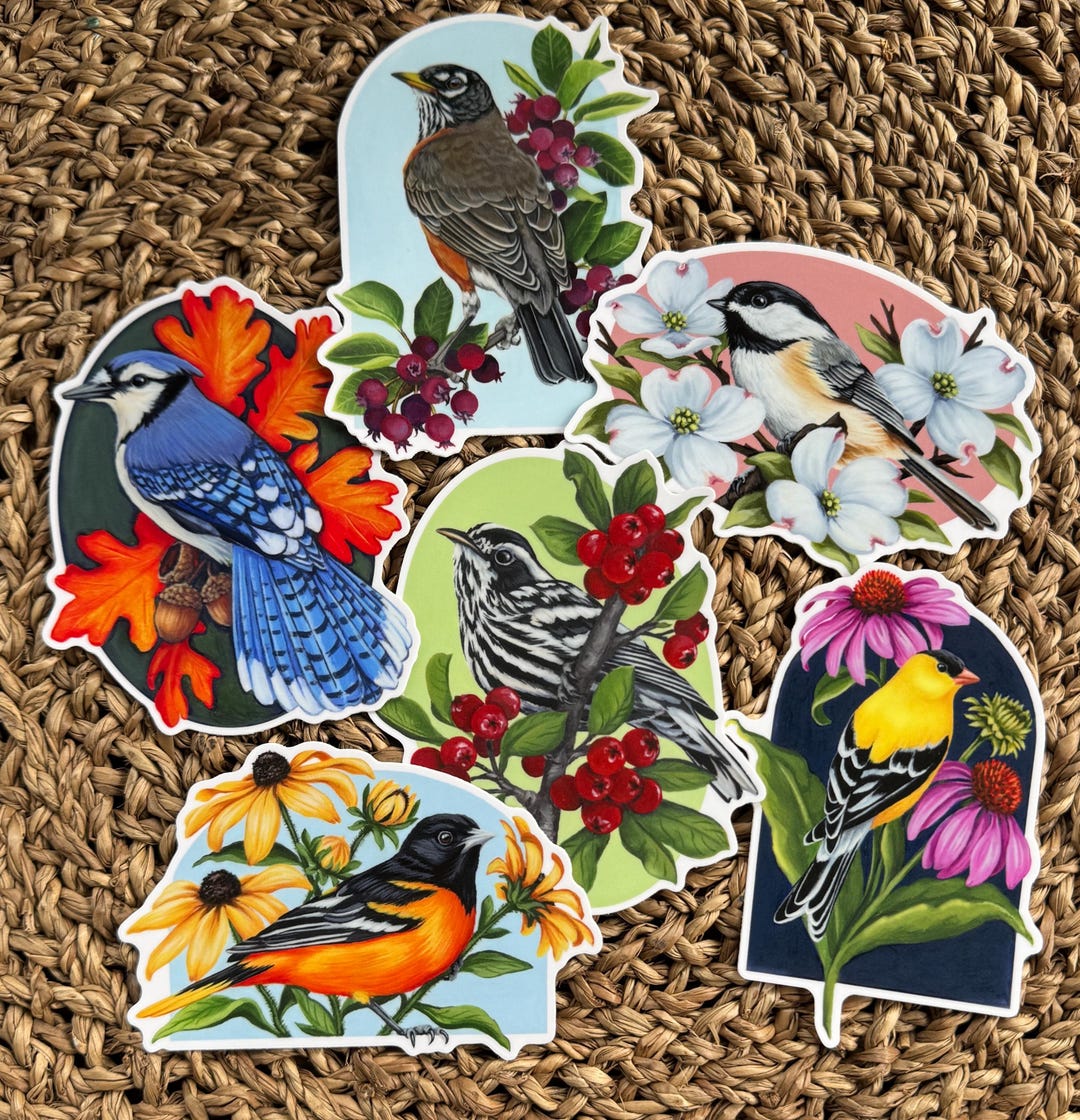 Set of 6 Vinyl Stickers, Native Bird Garden Series Stickers, Waterproof ...
