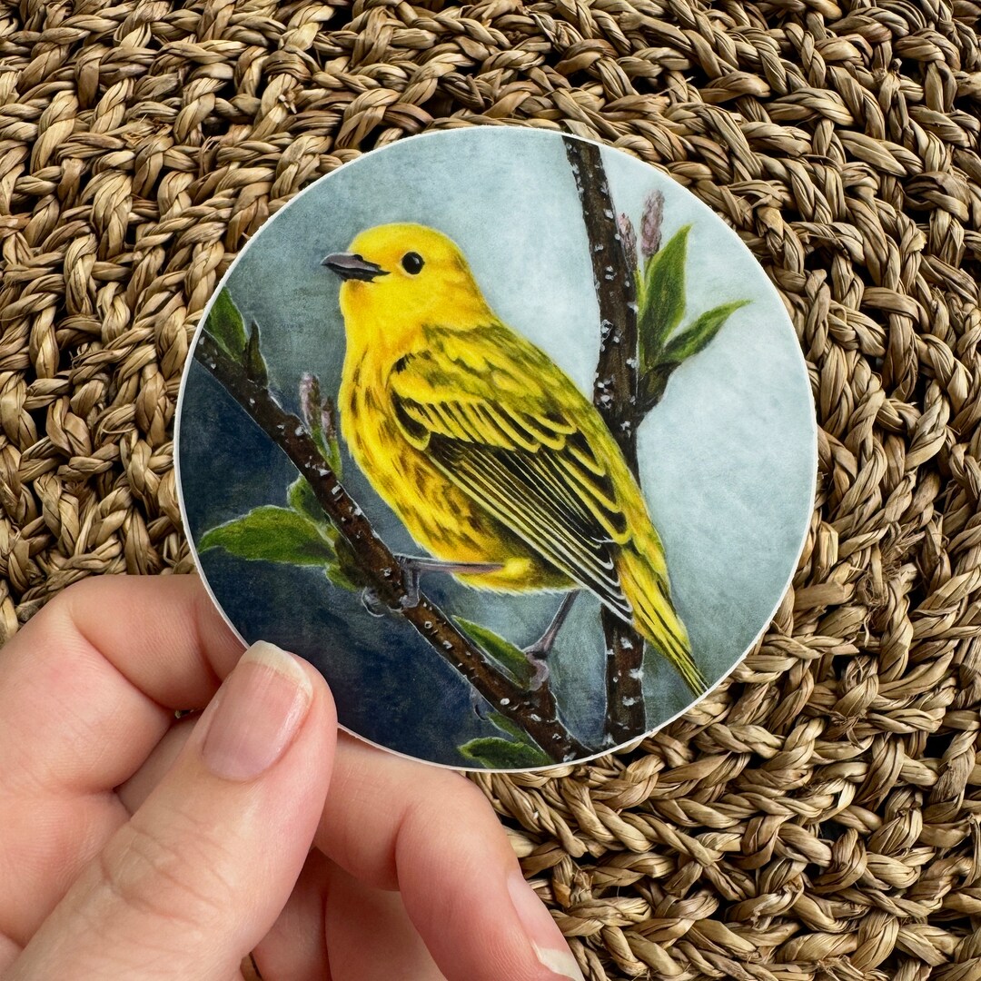 Bird Sticker, Laptop Sticker, Tumbler Sticker, Yellow Warbler Sticker ...