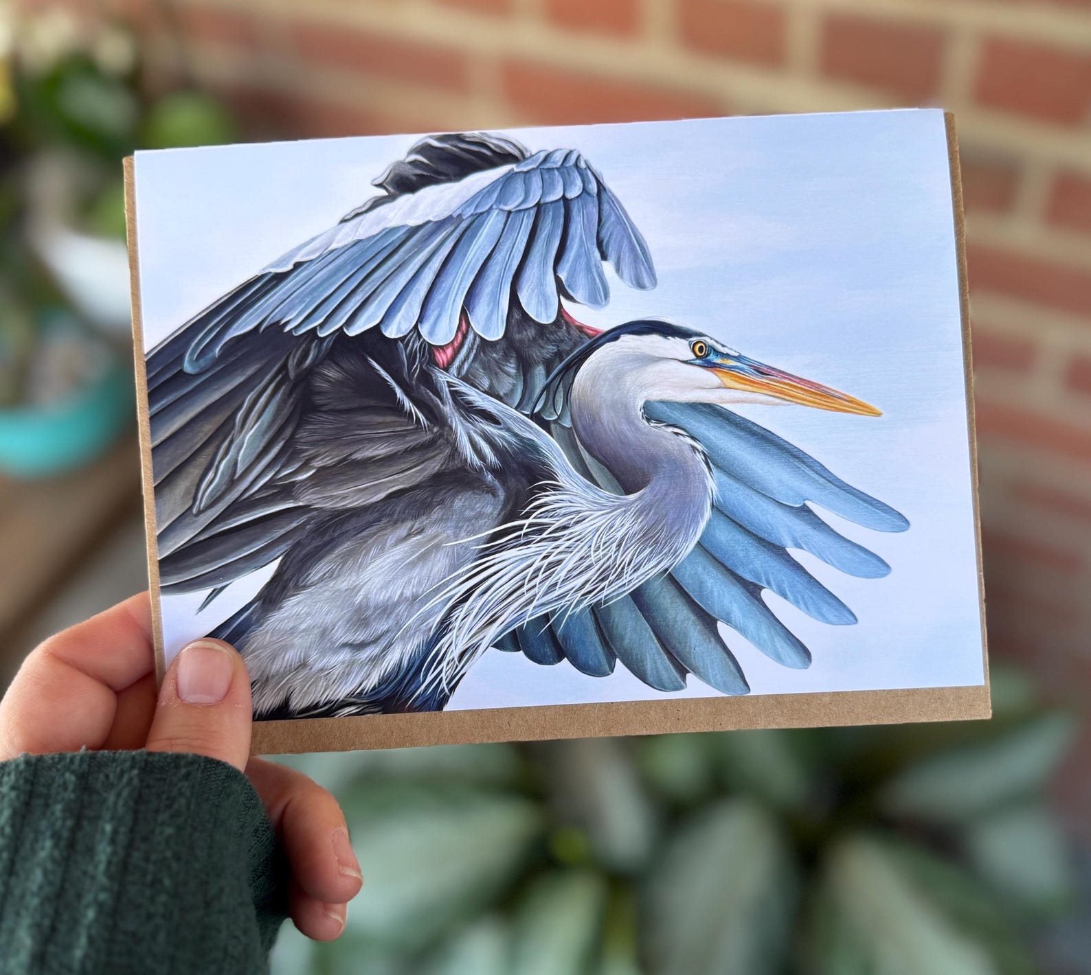 Great Blue Heron Greeting Cards Set, Blank Art Cards, Birdgreeting ...