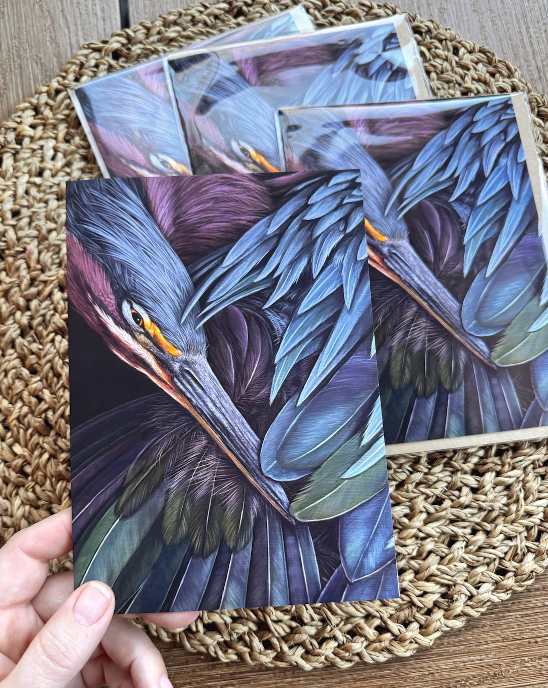 Green Heron Greeting Cards Set, 5” X 7” Blank Art Cards, Bird Greeting ...