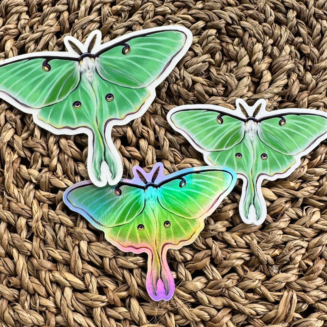 Luna Moth Stickers, Laptop Sticker, Tumbler Sticker, Vinyl Sticker - Etsy