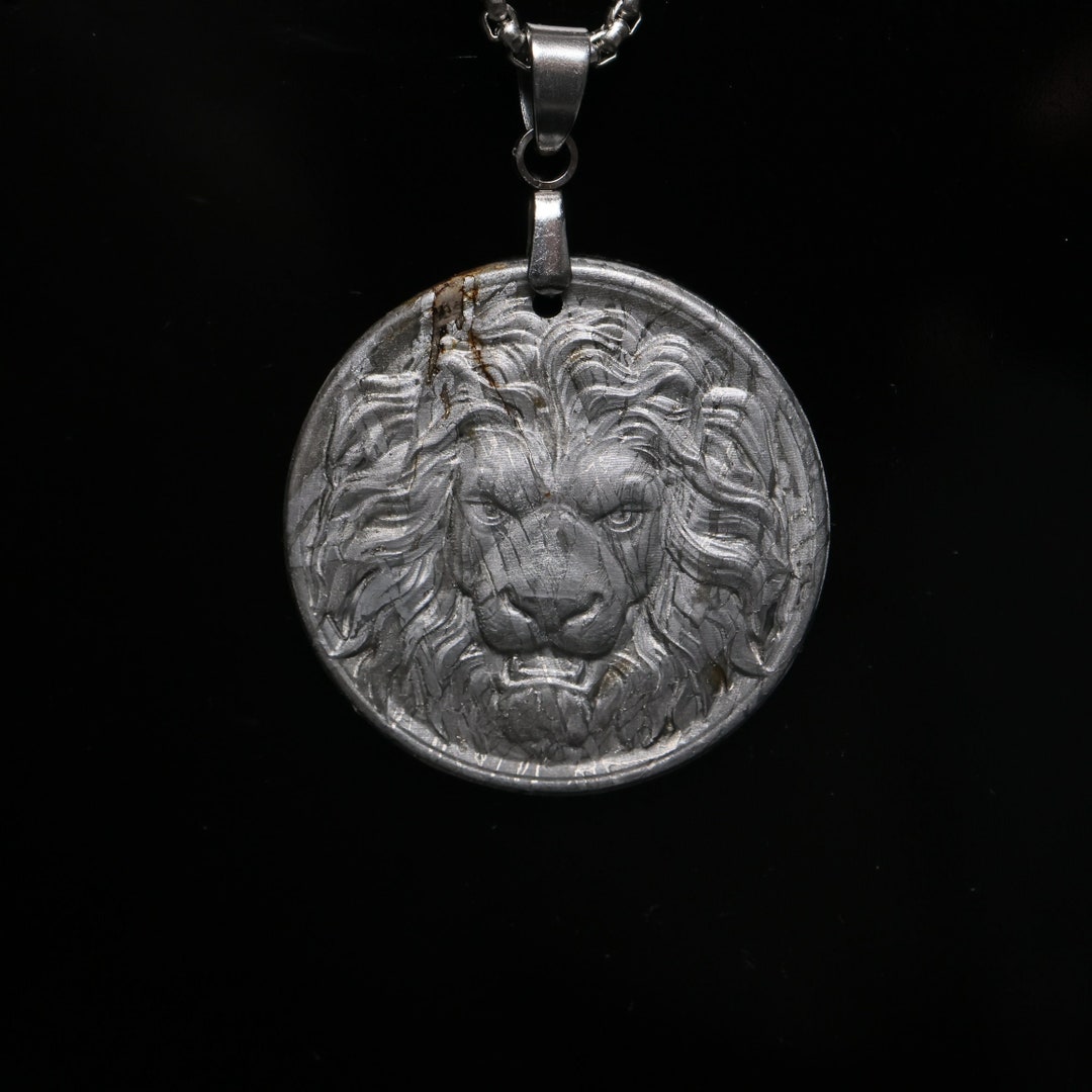 Natural Meteorite Carving Lion Animal Head IRON Meteorite Pendant Z605 ...