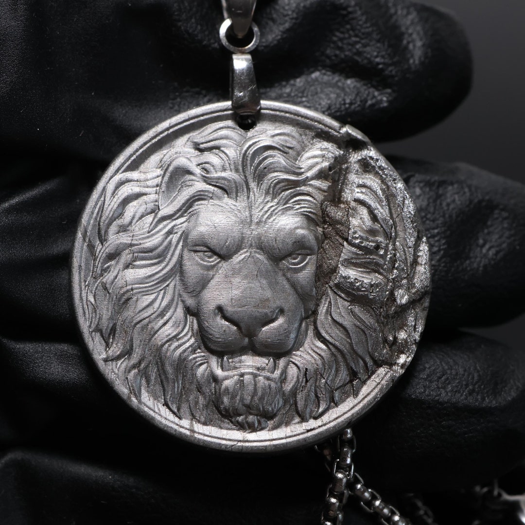 Natural Meteorite Carving Lion Animal Head IRON Meteorite Pendant Z996 ...