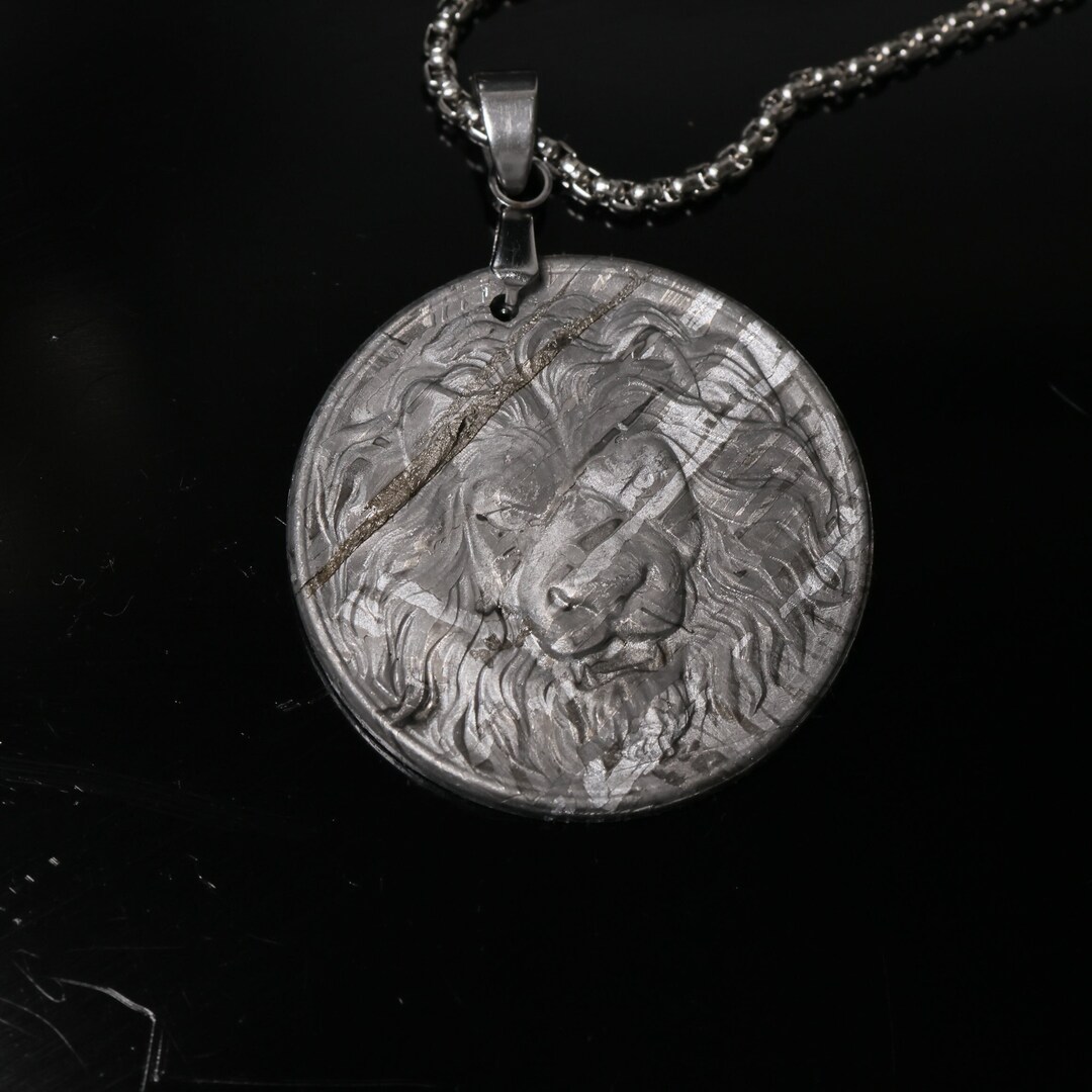 Natural Meteorite Carving Lion Animal Head IRON Meteorite Pendant Z603 ...