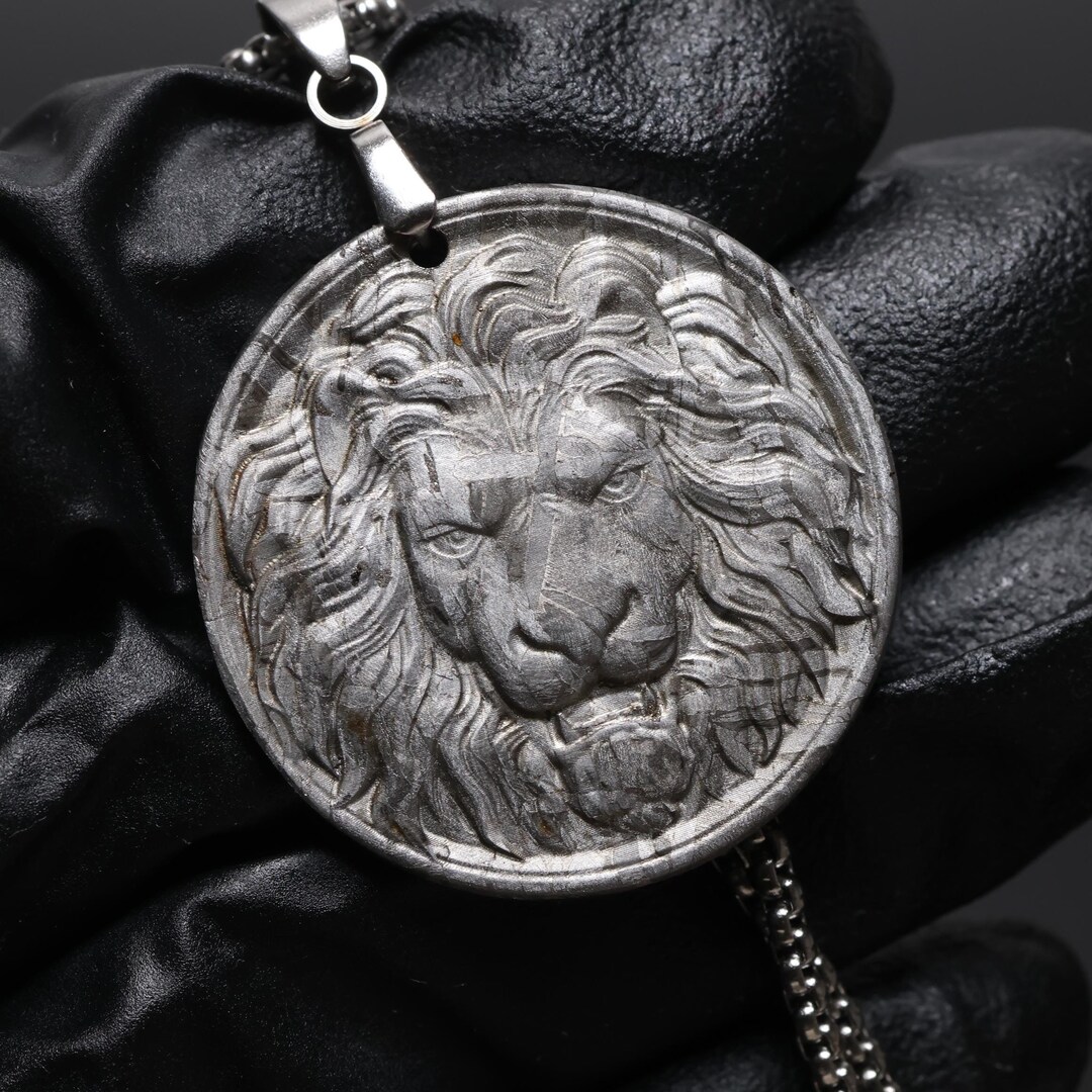 Natural Meteorite Carving Lion Animal Head IRON Meteorite Pendant Z986 ...
