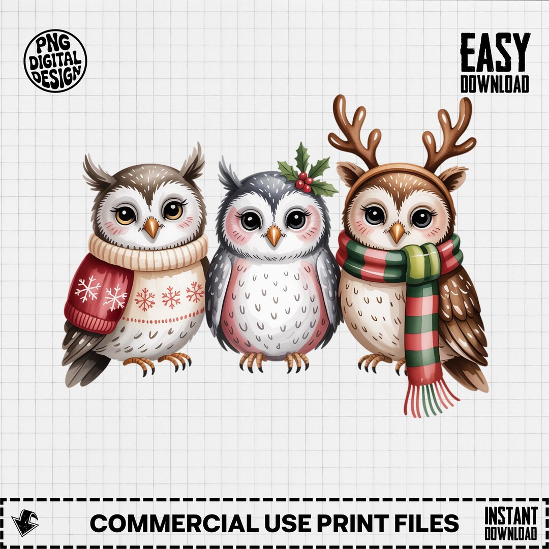 Christmas Owl PNG, Winter Owls Clipart, Holiday Animal Png, Cute Owl ...
