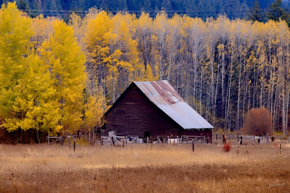 Rustic Barn Landscape Photography Tumwater Canyon | Etsy