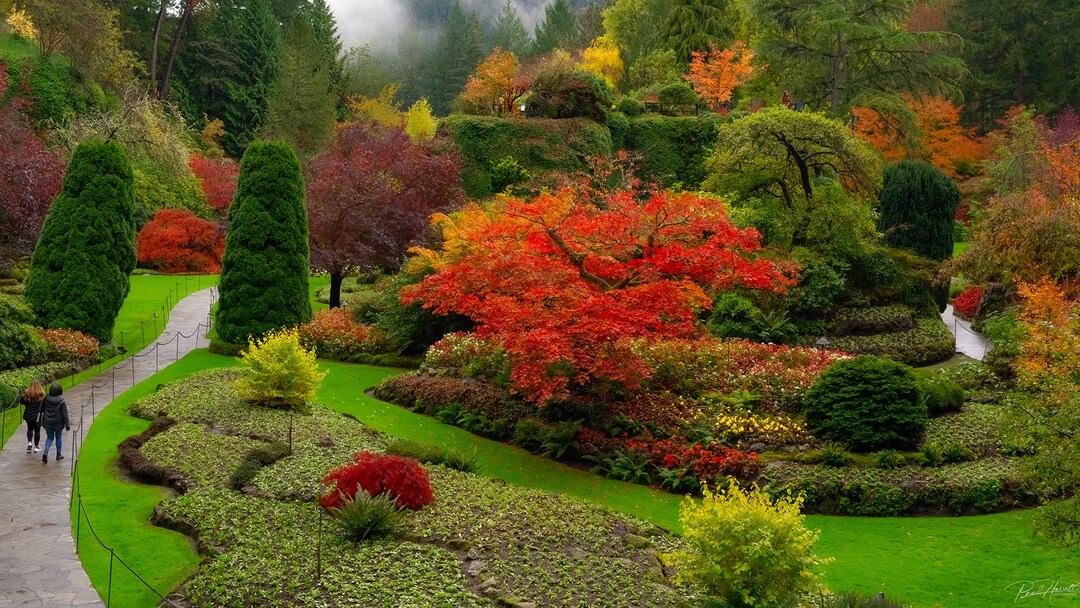 Butchart Gardens in Autumn – Stunning Fall Colors, Victoria BC – Fine ...