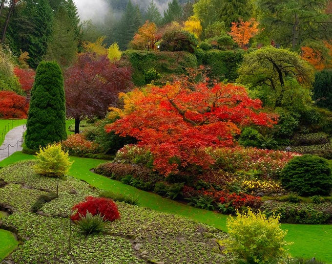 Butchart Gardens in Autumn – Stunning Fall Colors, Victoria BC – Fine ...
