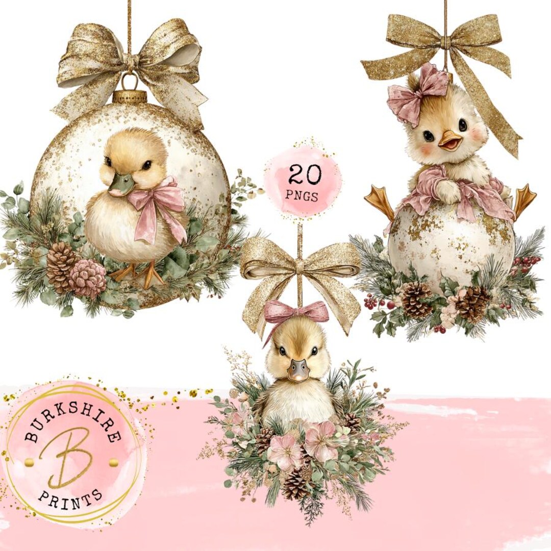 Christmas Duckling Ornament Clipart | Holiday Animal PNG (digital ...