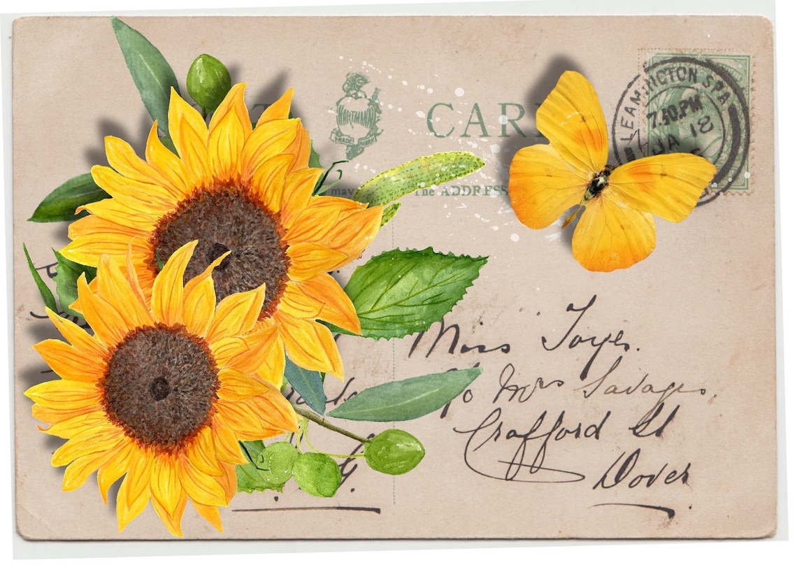 Sunflowers Printable Postcards Collage Sheet Yellow - Etsy