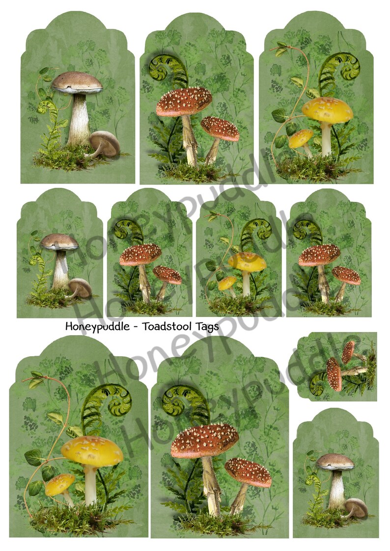 Journal Cards Nature Inspired Toadstools Mushrooms Tags T Tags