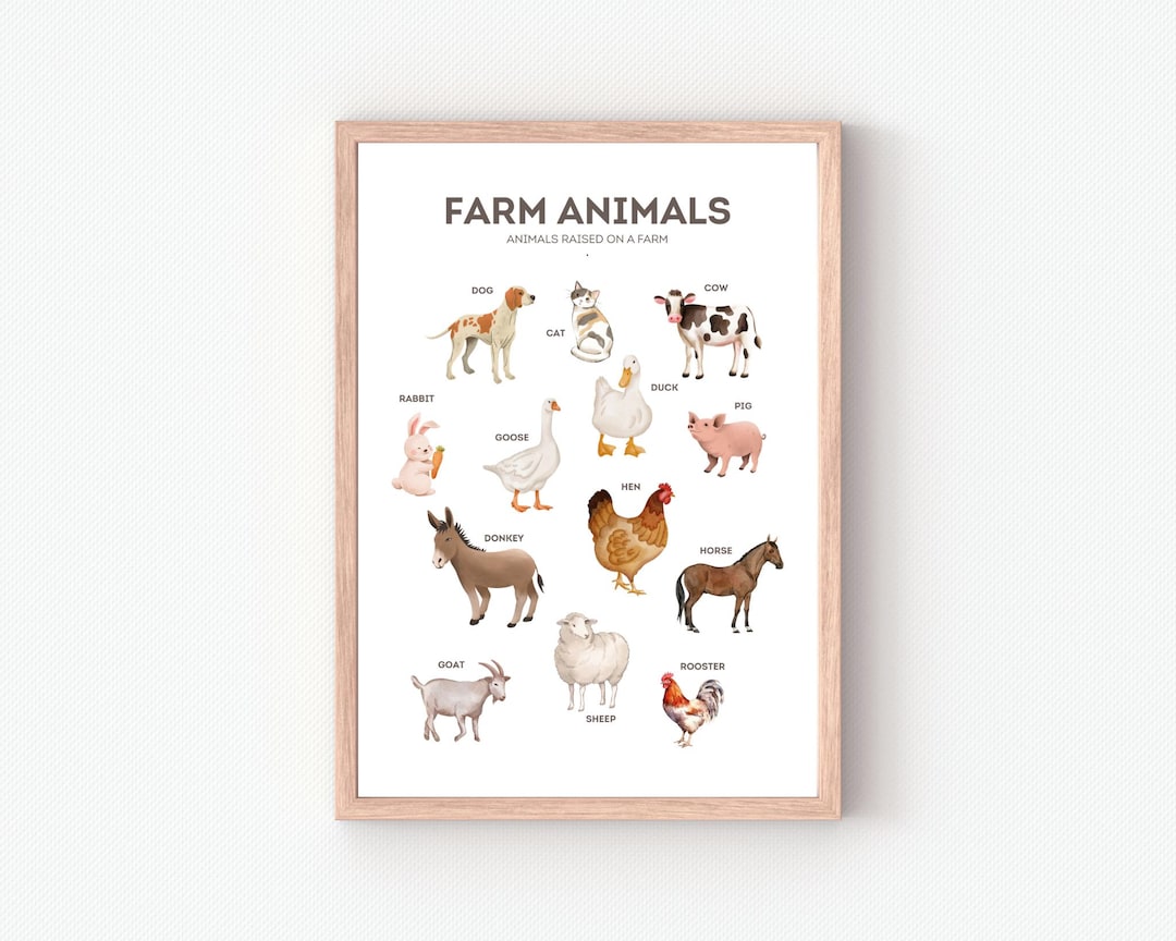 Watercolor Farm Animals Poster: Educational Kids Room Decor (digital ...