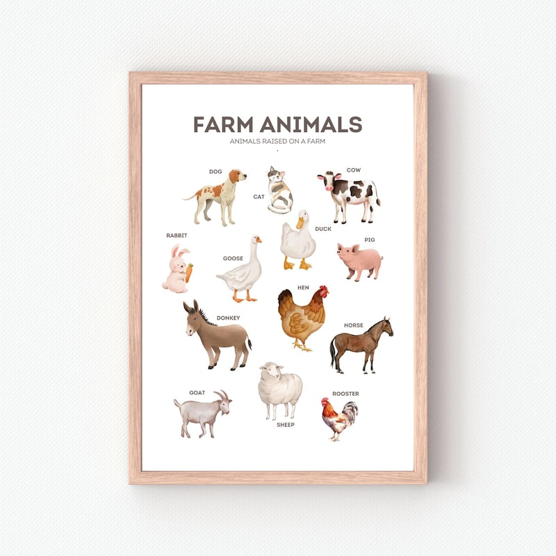 Animals Poster - Etsy