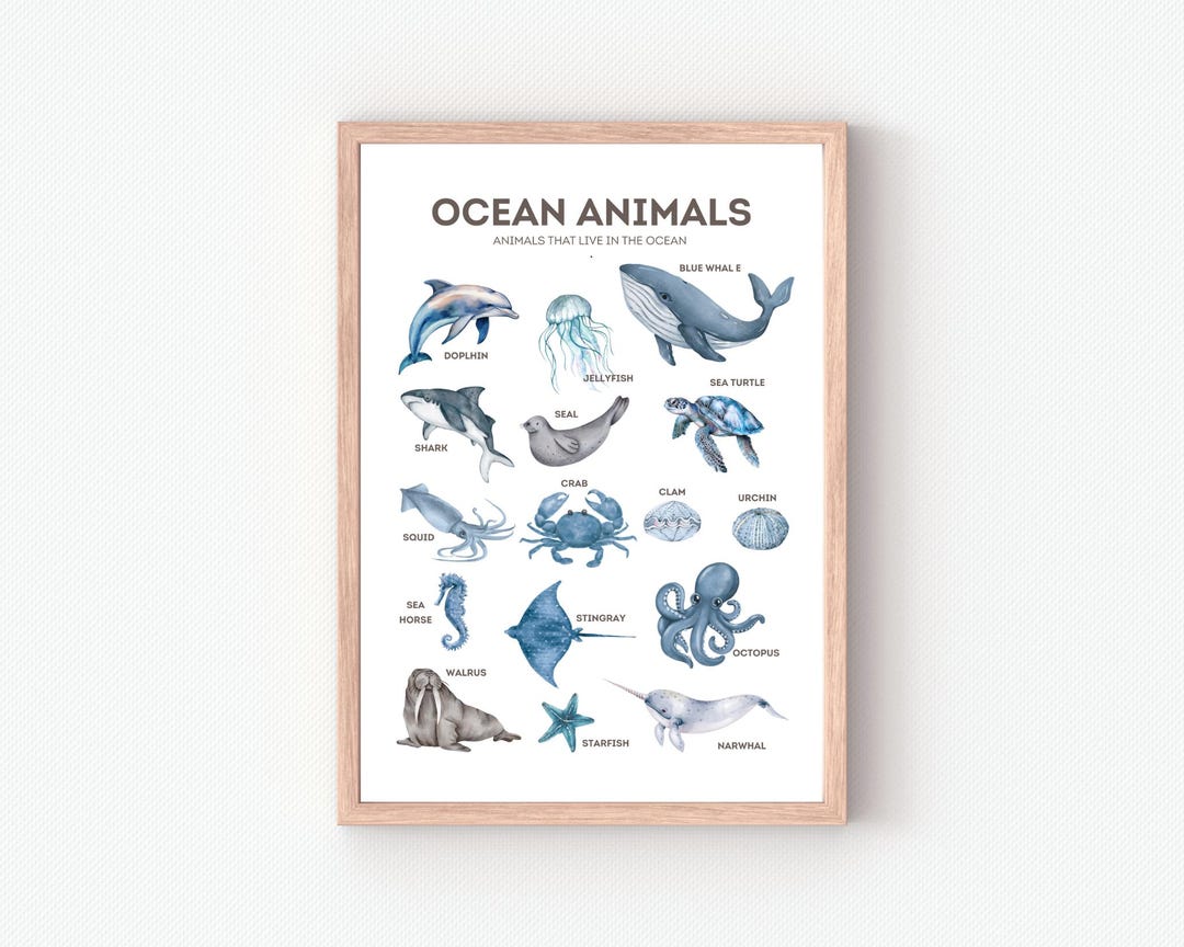 Ocean Animals Poster, Educational Poster, Classroom Decor, Montessori ...