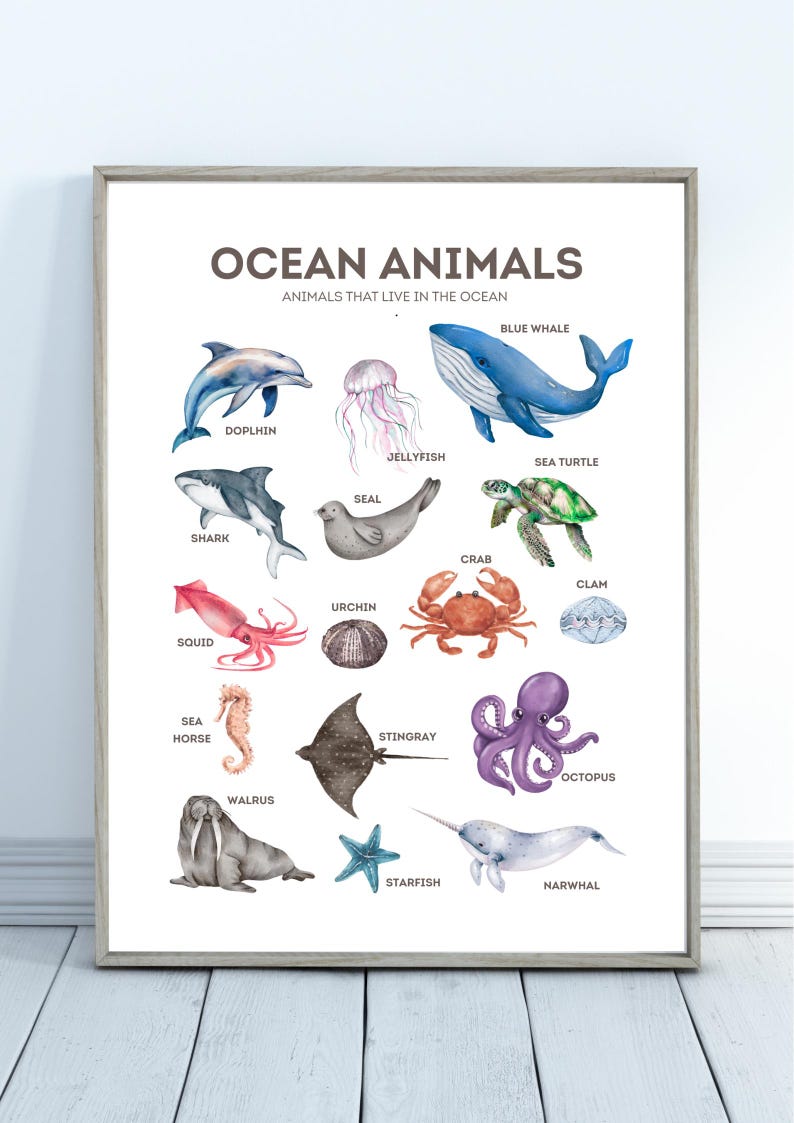 Ocean Animals Educational Poster: Sea Life Classroom Decor (digital ...
