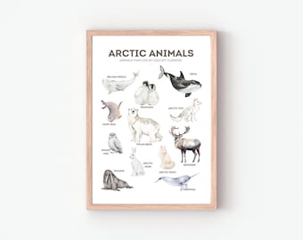 Animal Alphabet Poster, ABC Poster, Educational Poster, Classroom Decor ...