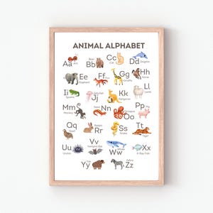 Animal Alphabet Poster, ABC Poster, Educational Poster, Classroom Decor ...