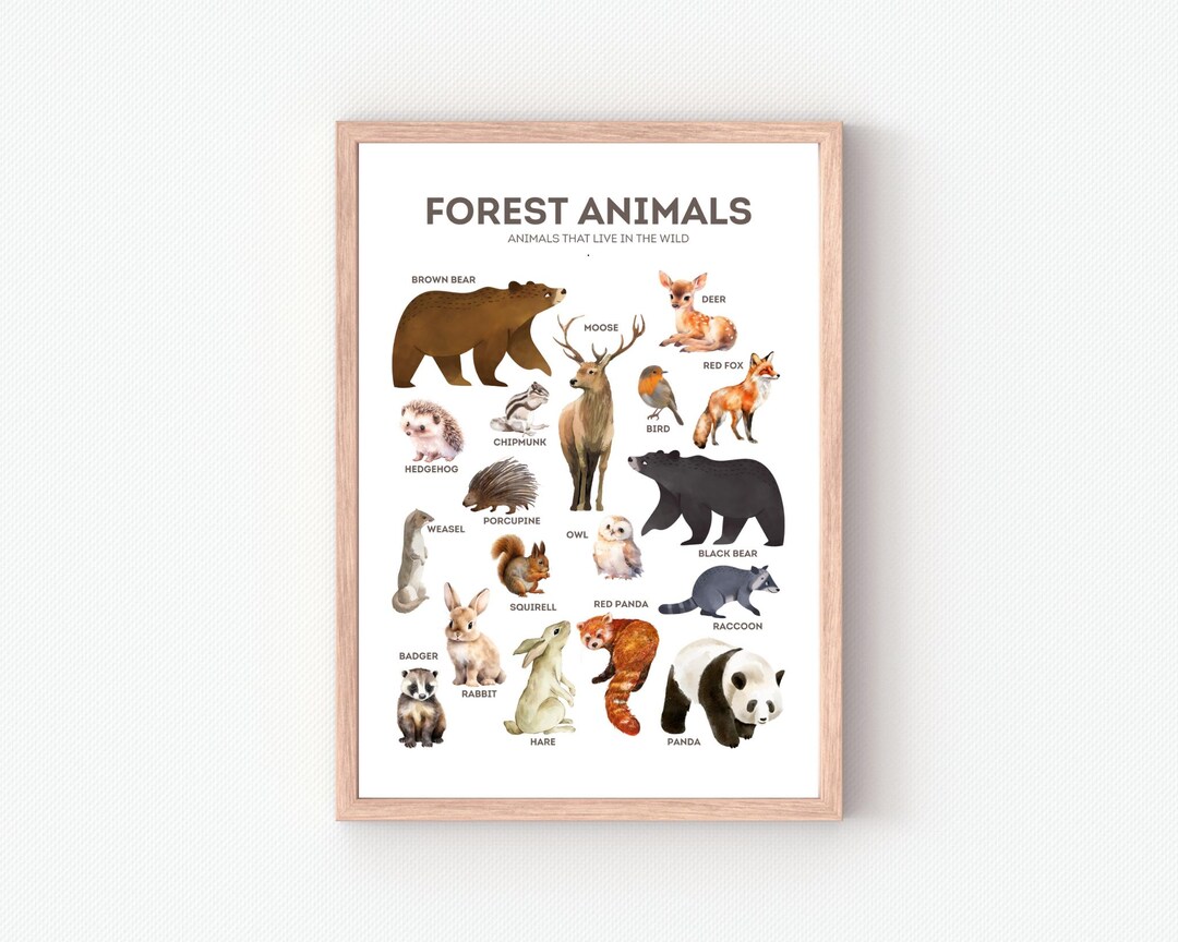 Forest Animals Poster, Educational Poster, Classroom Decor, Montessori ...