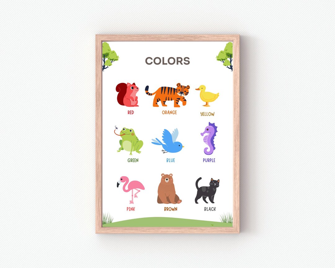 Animal Colors Educational Poster: Montessori Classroom Decor (digital ...