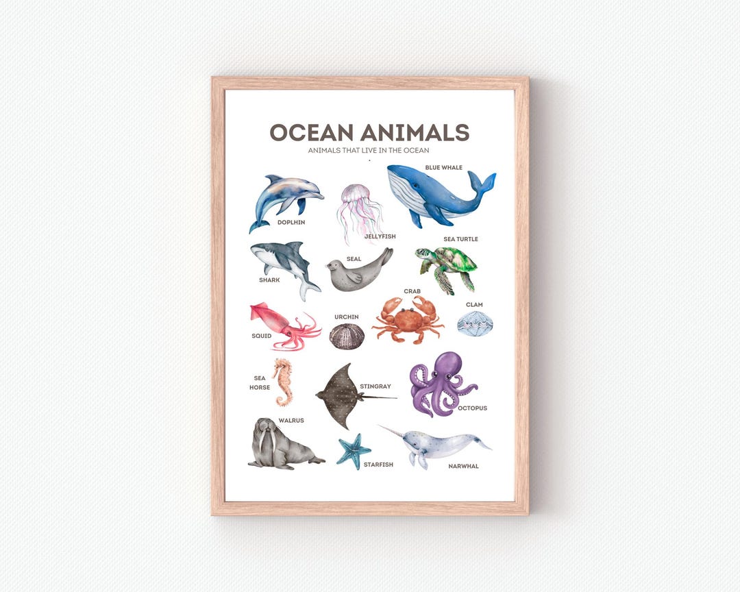 Ocean Animals Educational Poster: Sea Life Classroom Decor (digital ...