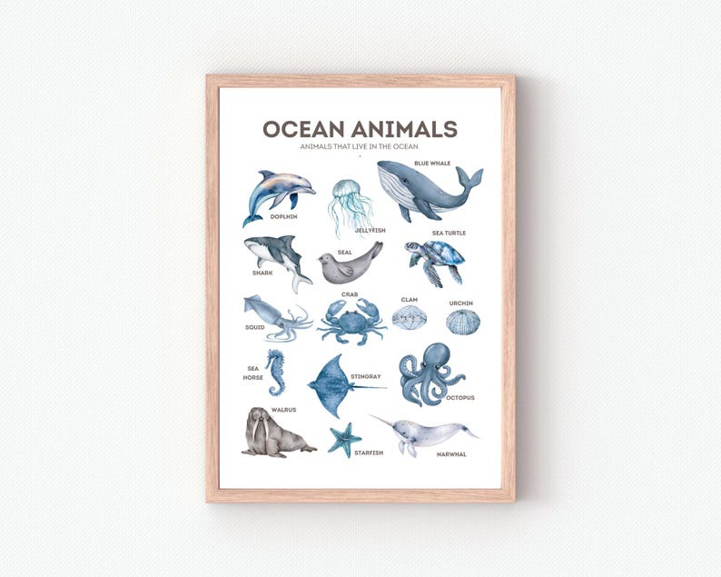 Ocean Animals Poster: Montessori Classroom Decor (digital Download) - Etsy