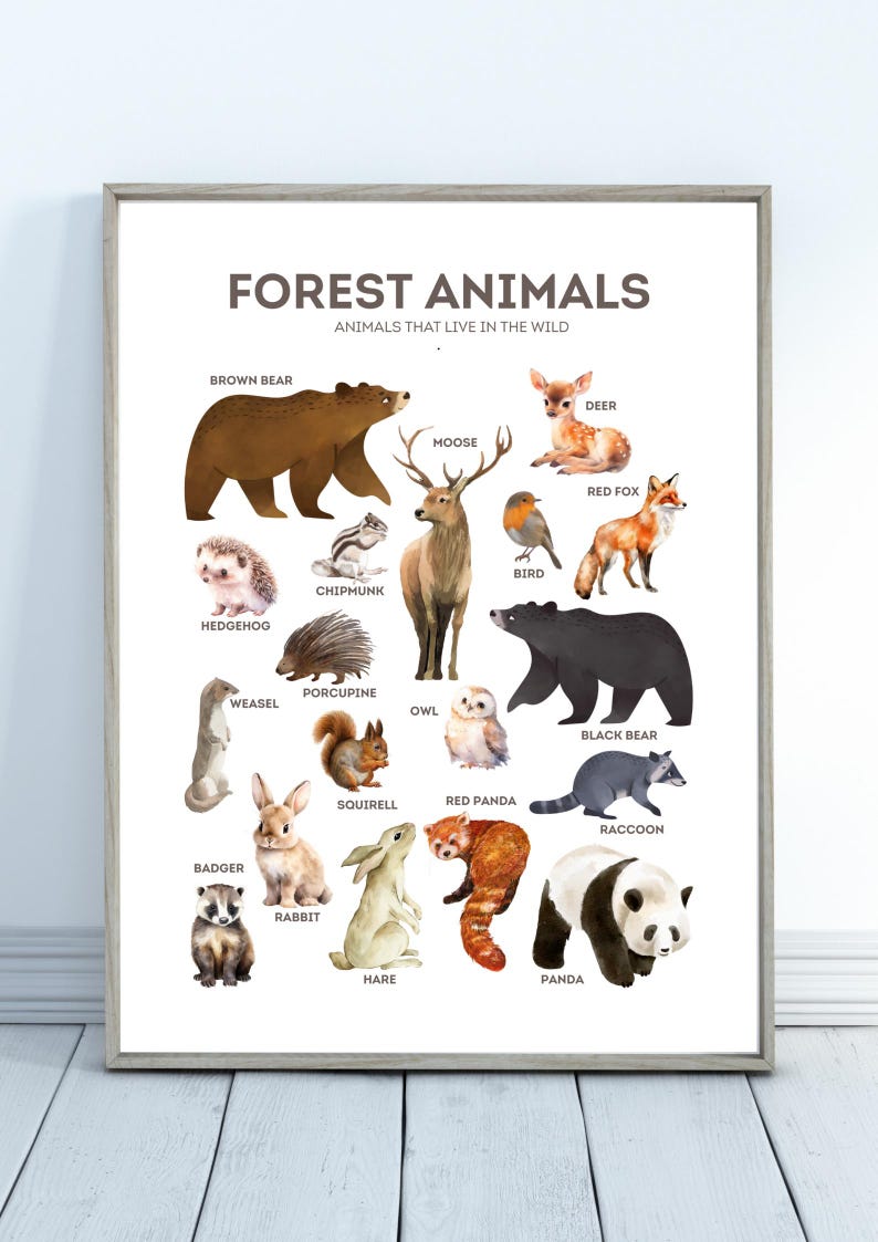 Forest Animals Educational Poster: Woodland Decor (digital Download) - Etsy