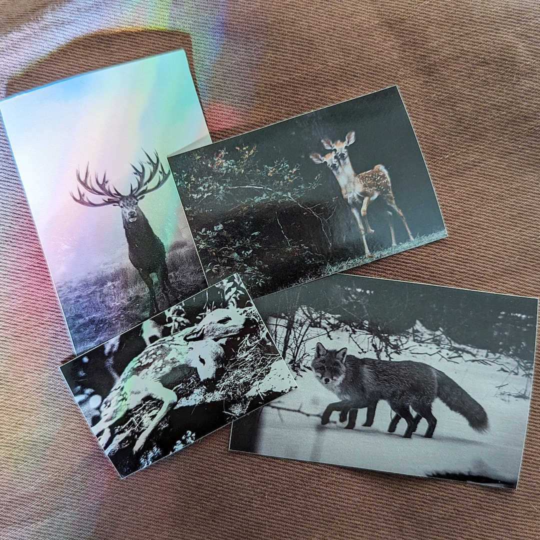 Cryptidcore 4 X Sticker Bundle Vinyl Stickers - Etsy UK