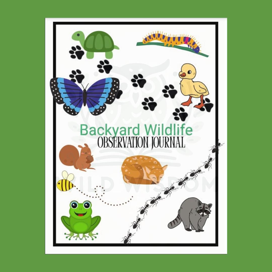 Wildlife Observation Journal for Kids, Data Sheet + Notes Page ...