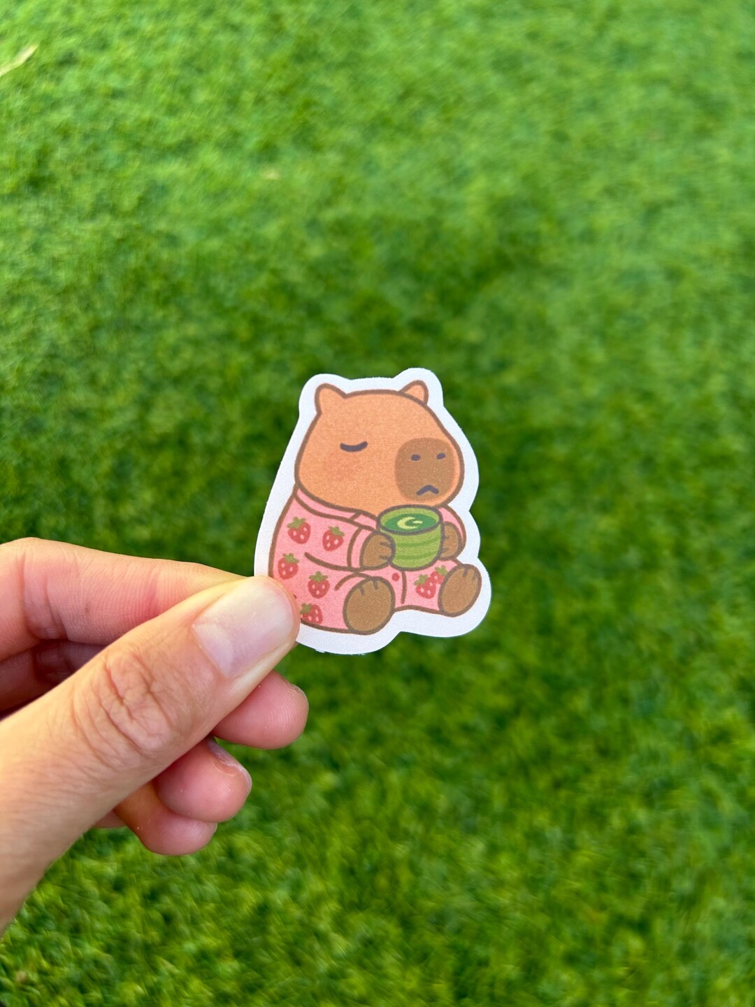 Sad Capybara Sticker — Kawaii Cute Vinyl Sticker, Strawberry Pjs ...