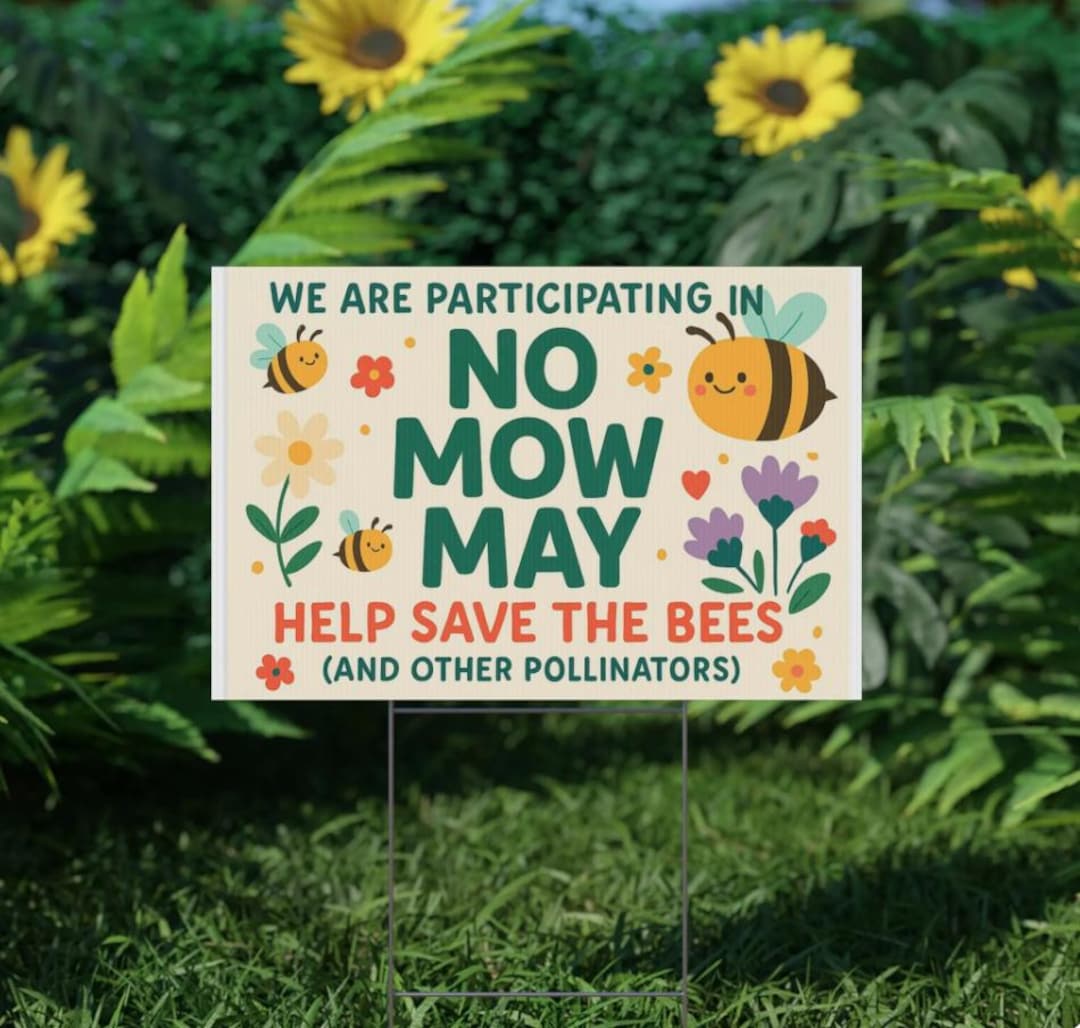 Cute Plastic Yard Sign for No Mow May, Bee Conservation Decor, Garden ...