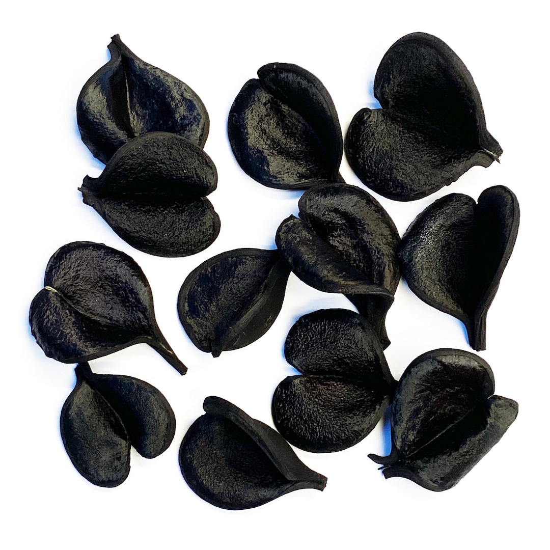 12 Black Heart Shaped Seed Pods - Elephant's Ear - Art Supply - Home ...