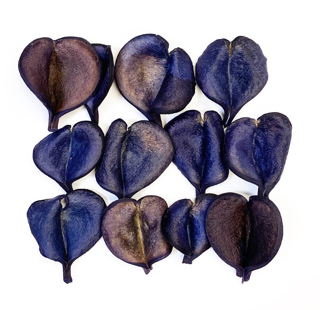 12 Dusky Purple Heart Shaped Seed Pods - Art Supply - Craft Supply ...